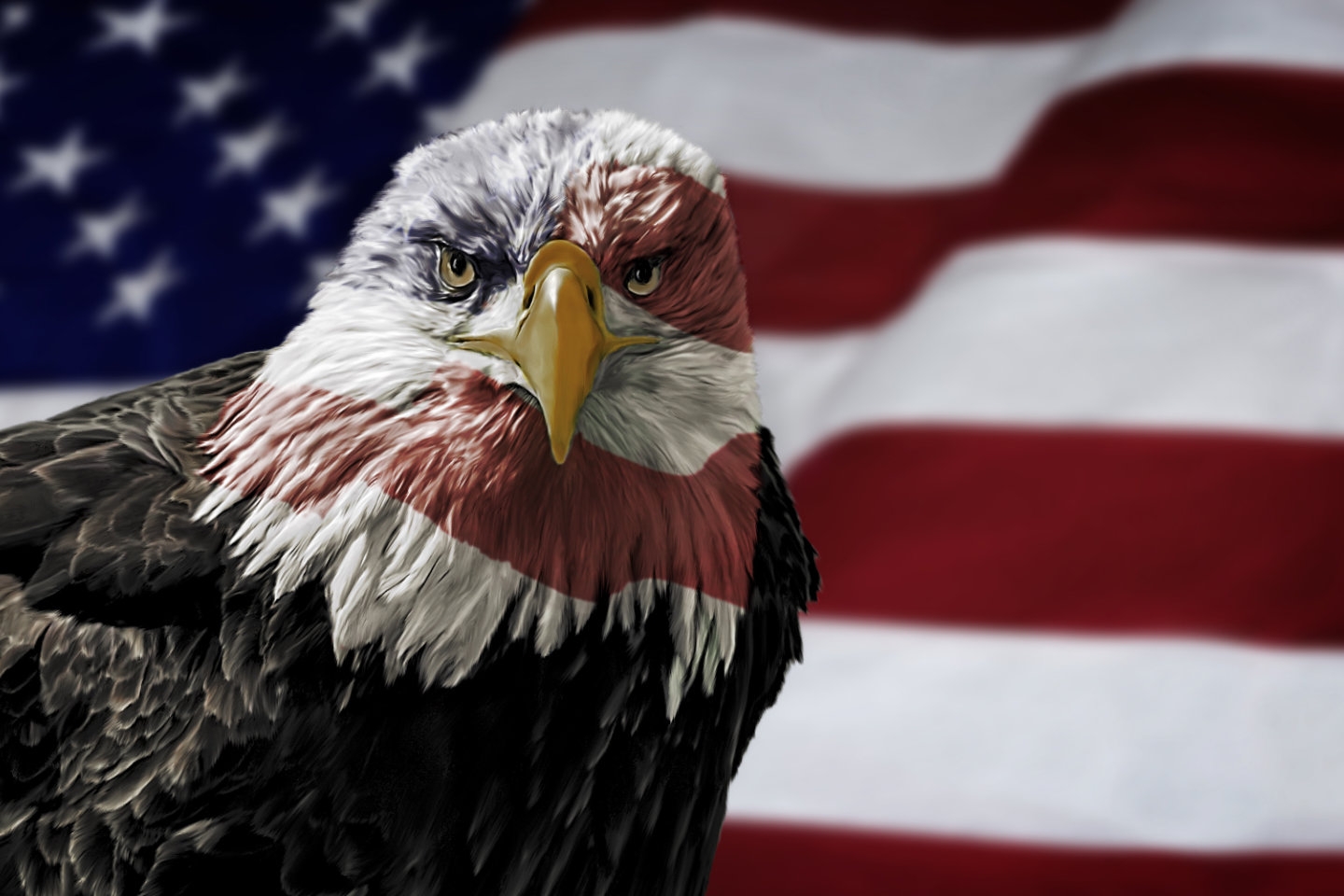 Department of Kentucky Veterans of Foreign Wars